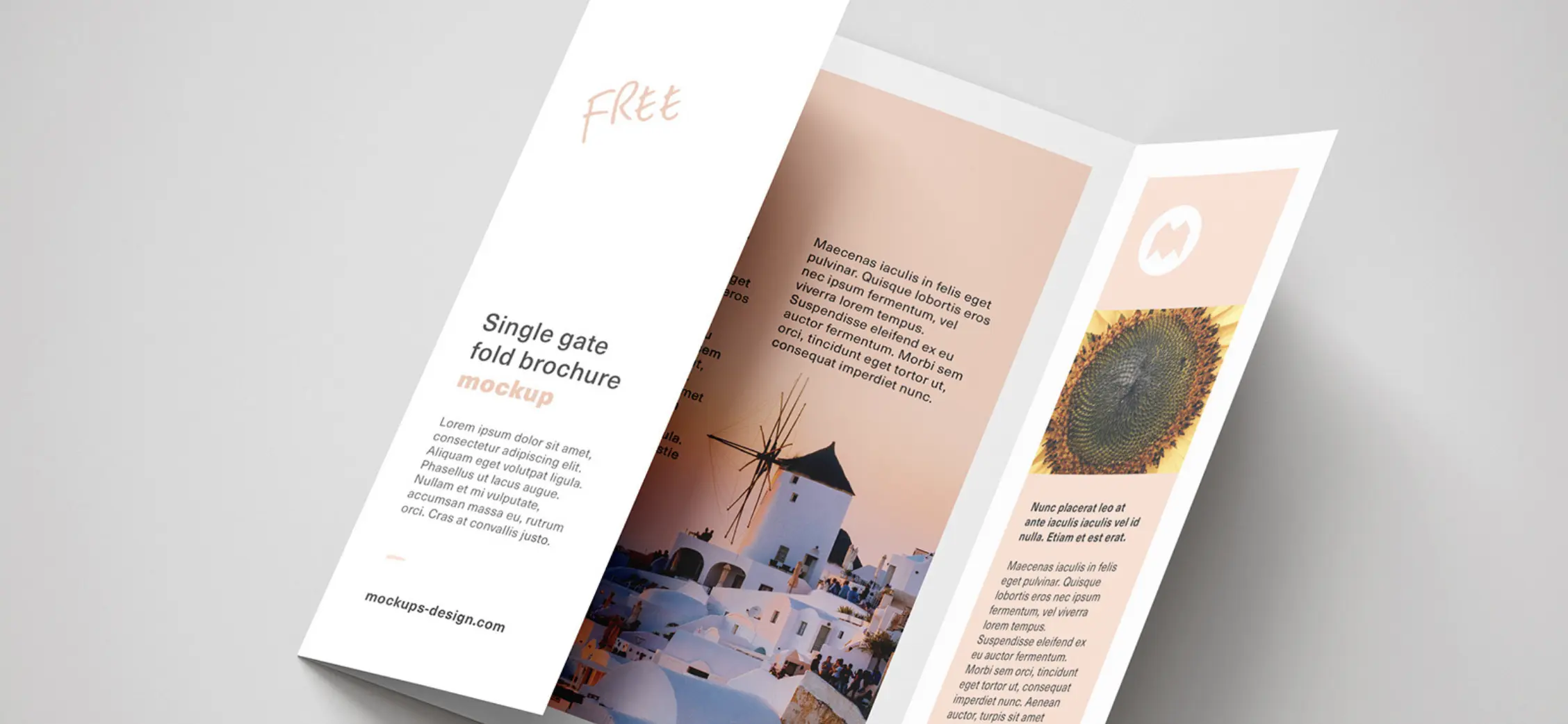 Brochure Design Trends 2025: Modern Ideas - Kiwistic